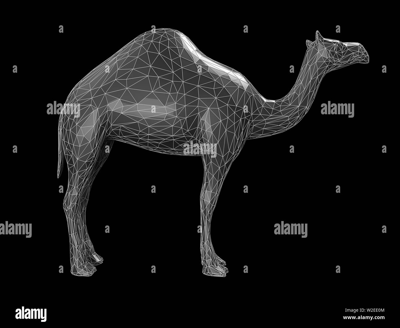 Camel Shape High Resolution Stock Photography and Images - Alamy