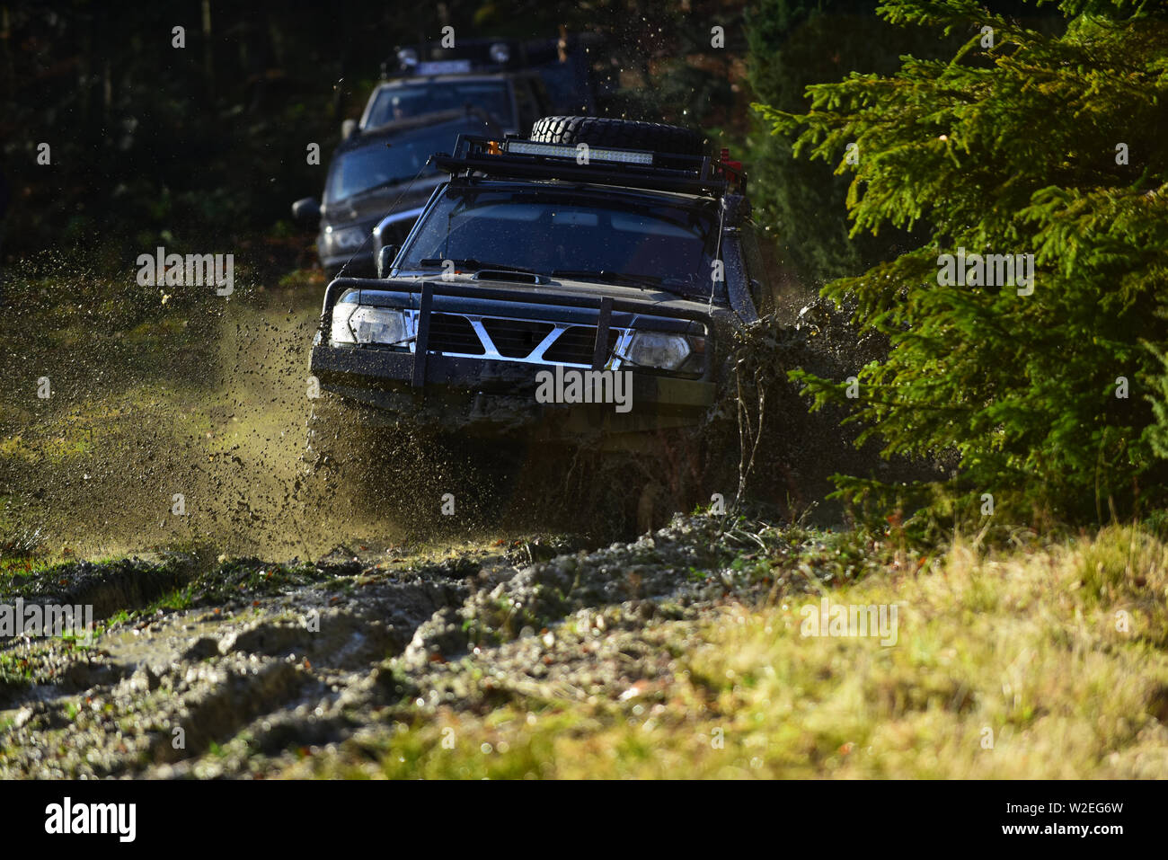 Competition, energy and motorsport concept. Auto racing on fall nature ...