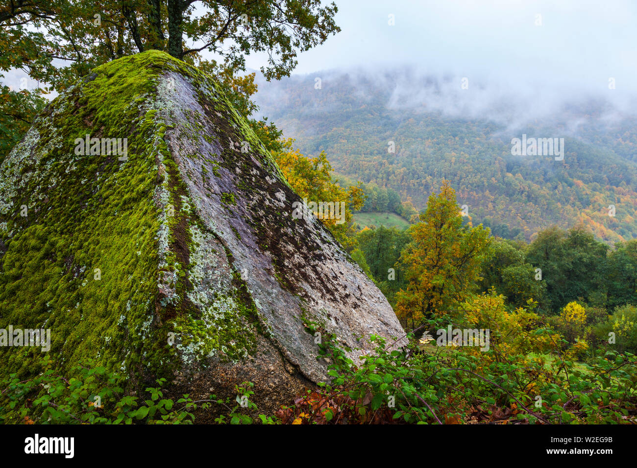 Ambroz autumn hi-res stock photography and images - Alamy