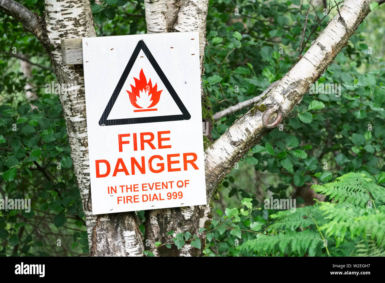 Forest forestry commission warning sign hi-res stock photography and ...
