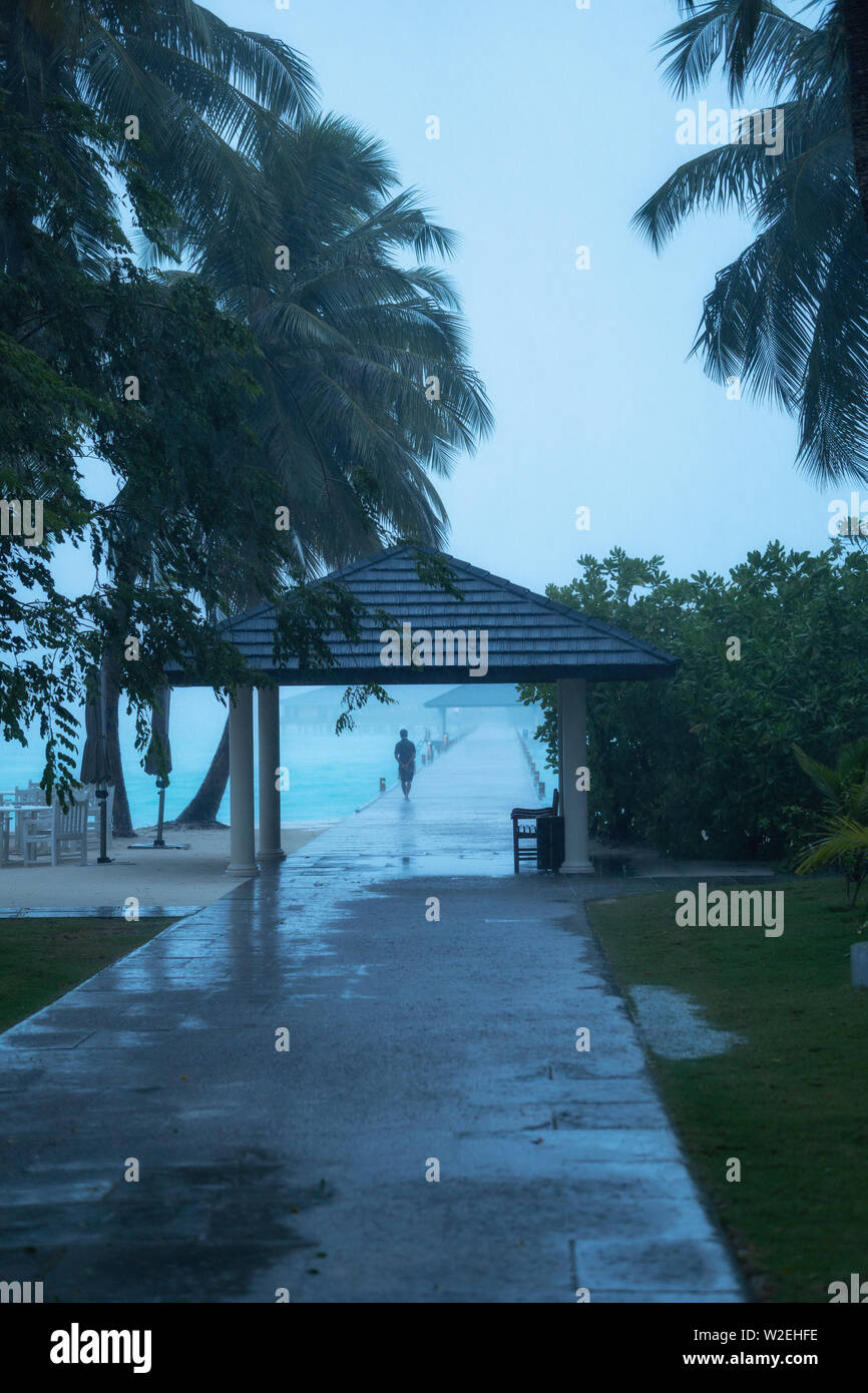 On the island began the season of tropical rains. Island in the ...