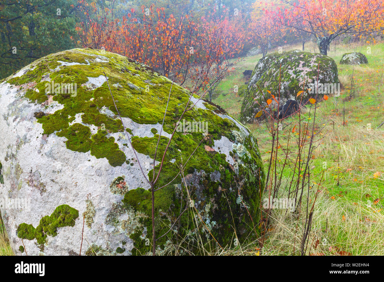 Ambroz autumn hi-res stock photography and images - Alamy