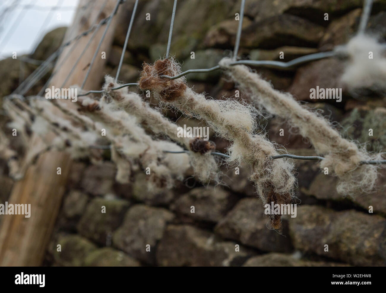 Tangled fence wire hi-res stock photography and images - Alamy