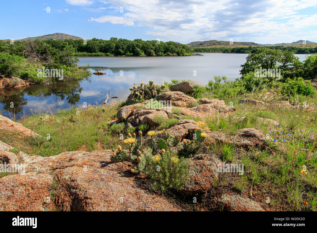 Quanna hi-res stock photography and images - Alamy