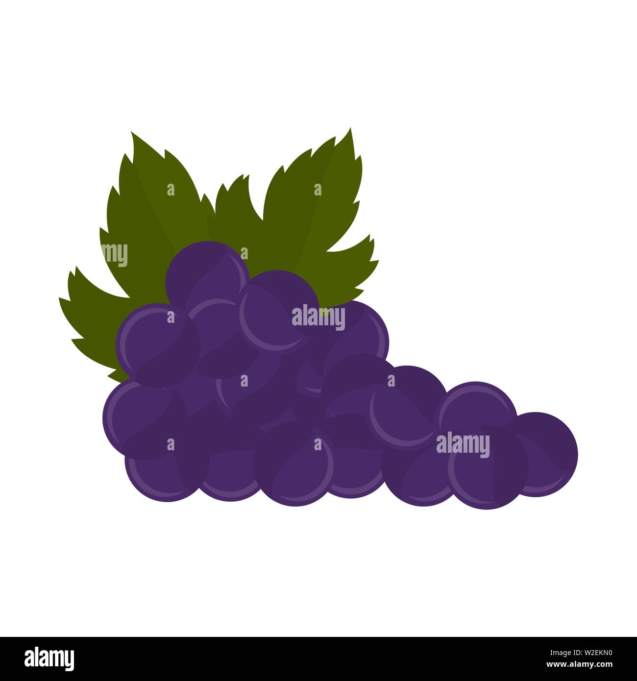 Isolated bunch of grapes on a white background - Vector Stock Vector ...