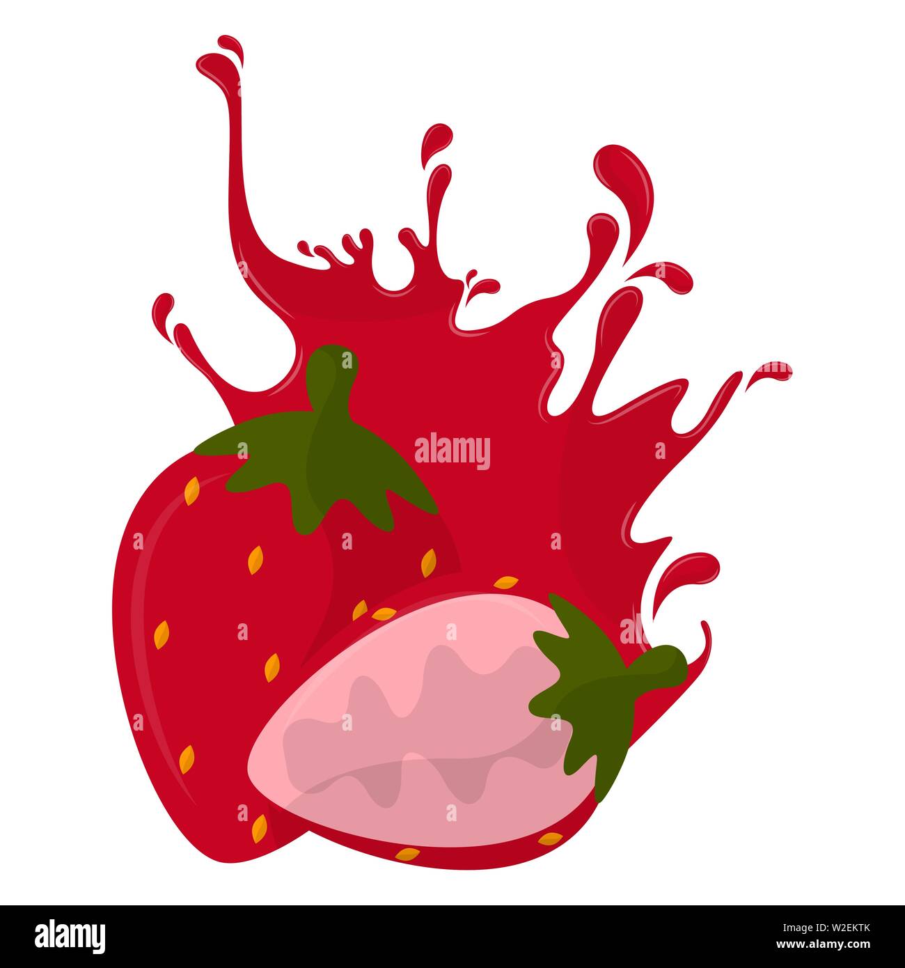 Isolated strawberry with splash on a white background - Vector Stock ...