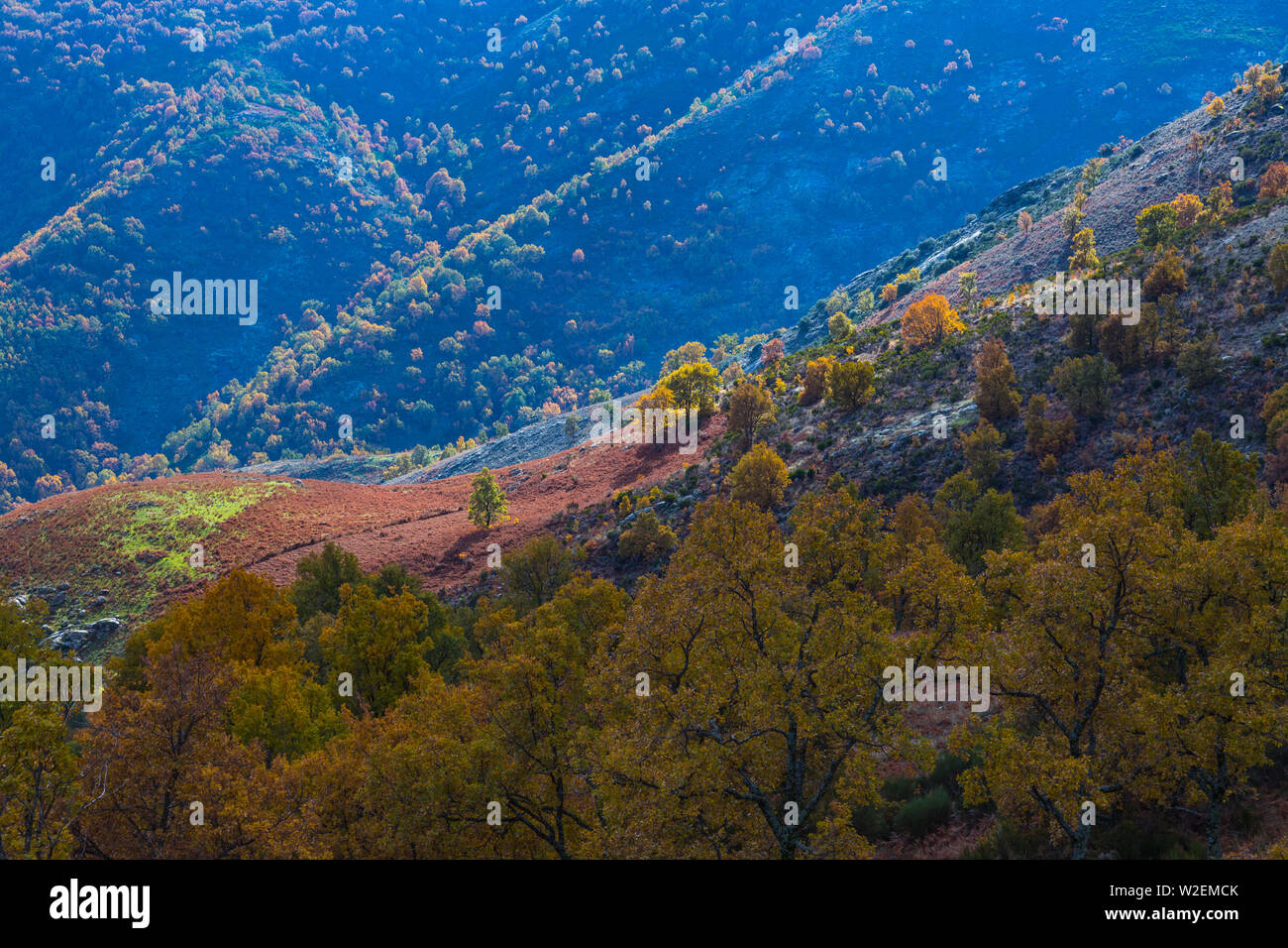 Jerte valley hi-res stock photography and images - Alamy