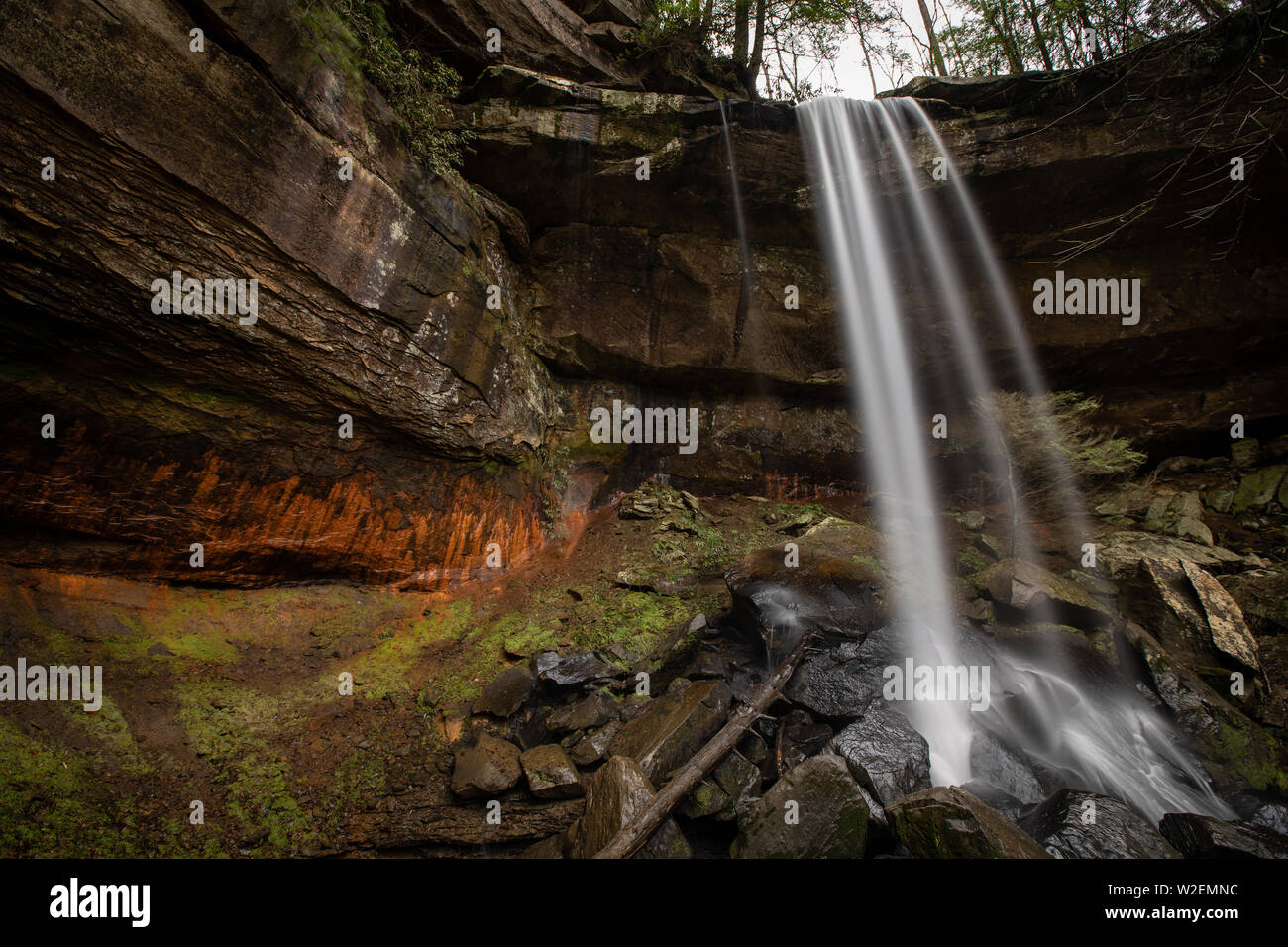 Photo by @wilkinsonvisual - www.wilkinsonvisual.com Stock Photo - Alamy