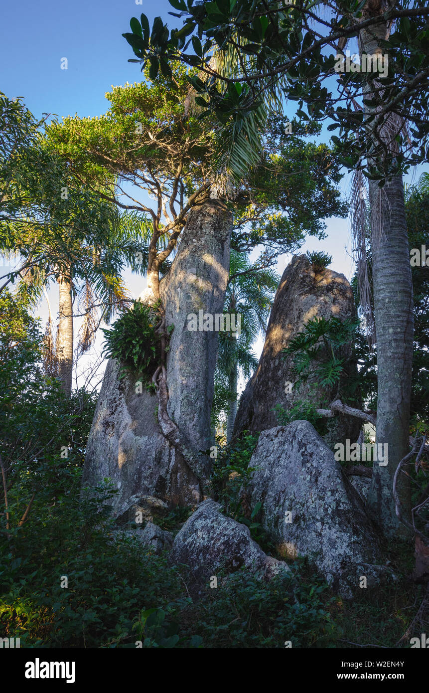 Trilha da sepultura hi-res stock photography and images - Alamy