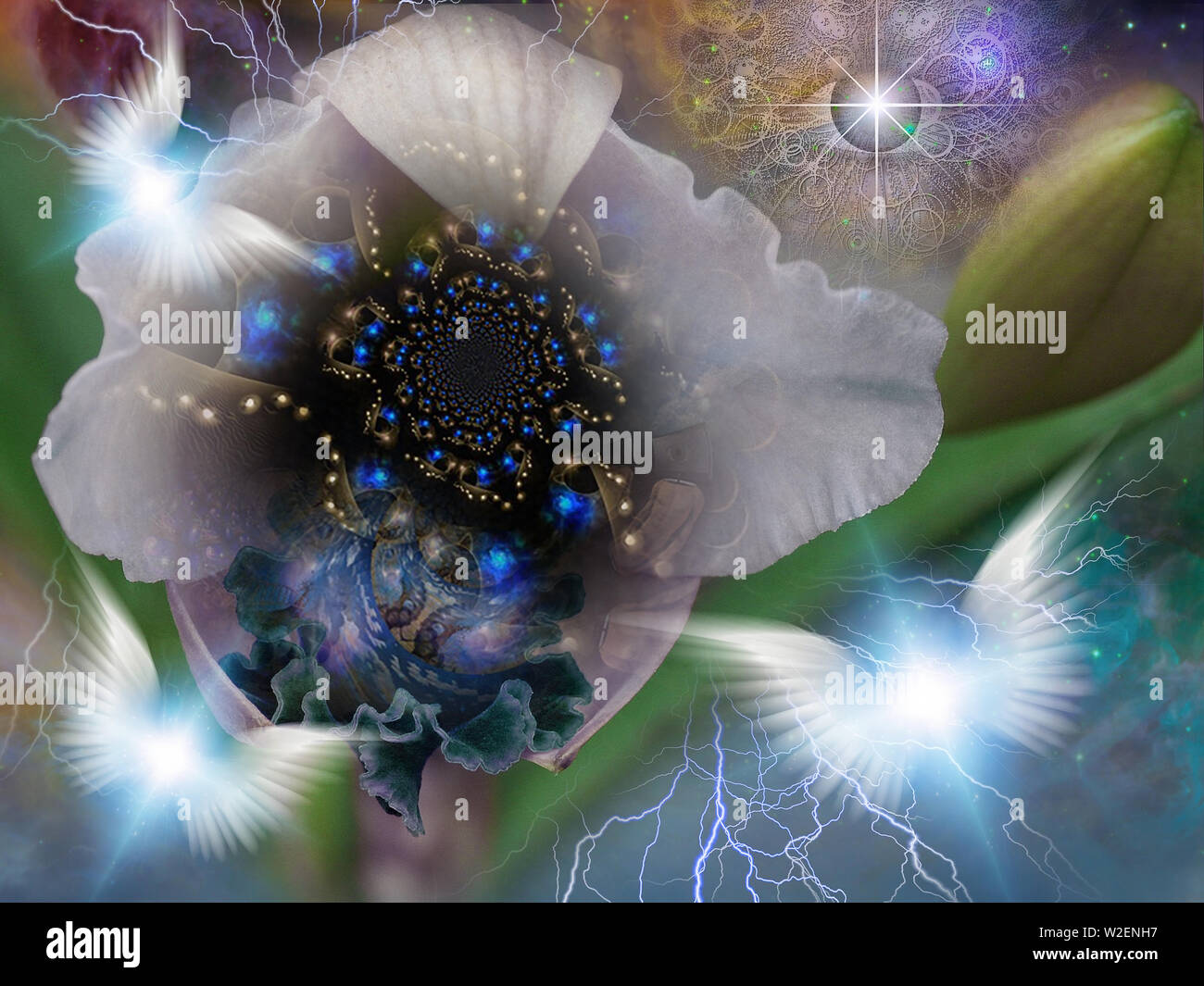 Endless dimensions inside beautiful flower. Angel's beings and eye of ...