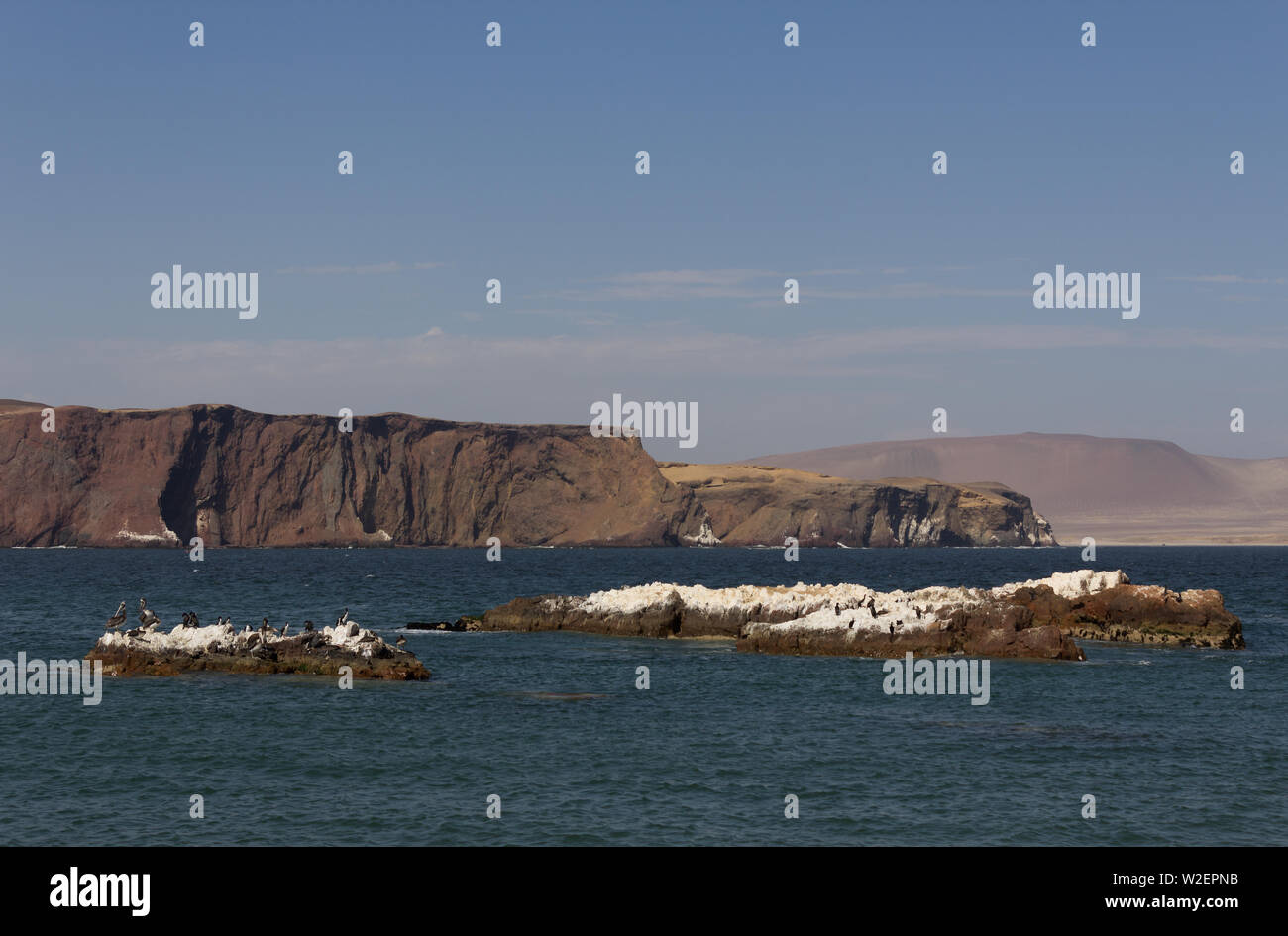 Reserva natural de paracas hi-res stock photography and images - Alamy