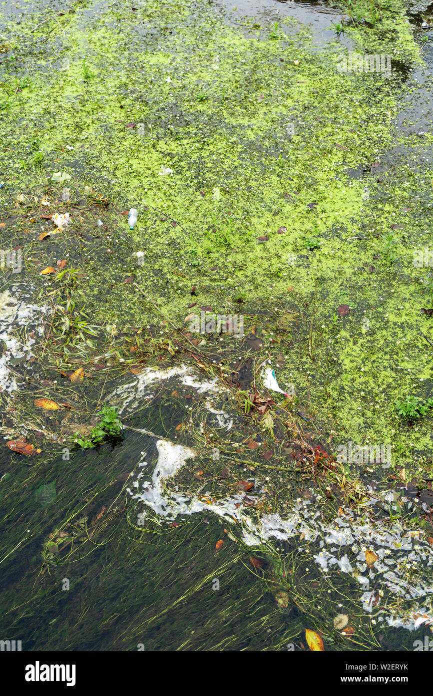 Weed growth hi-res stock photography and images - Alamy
