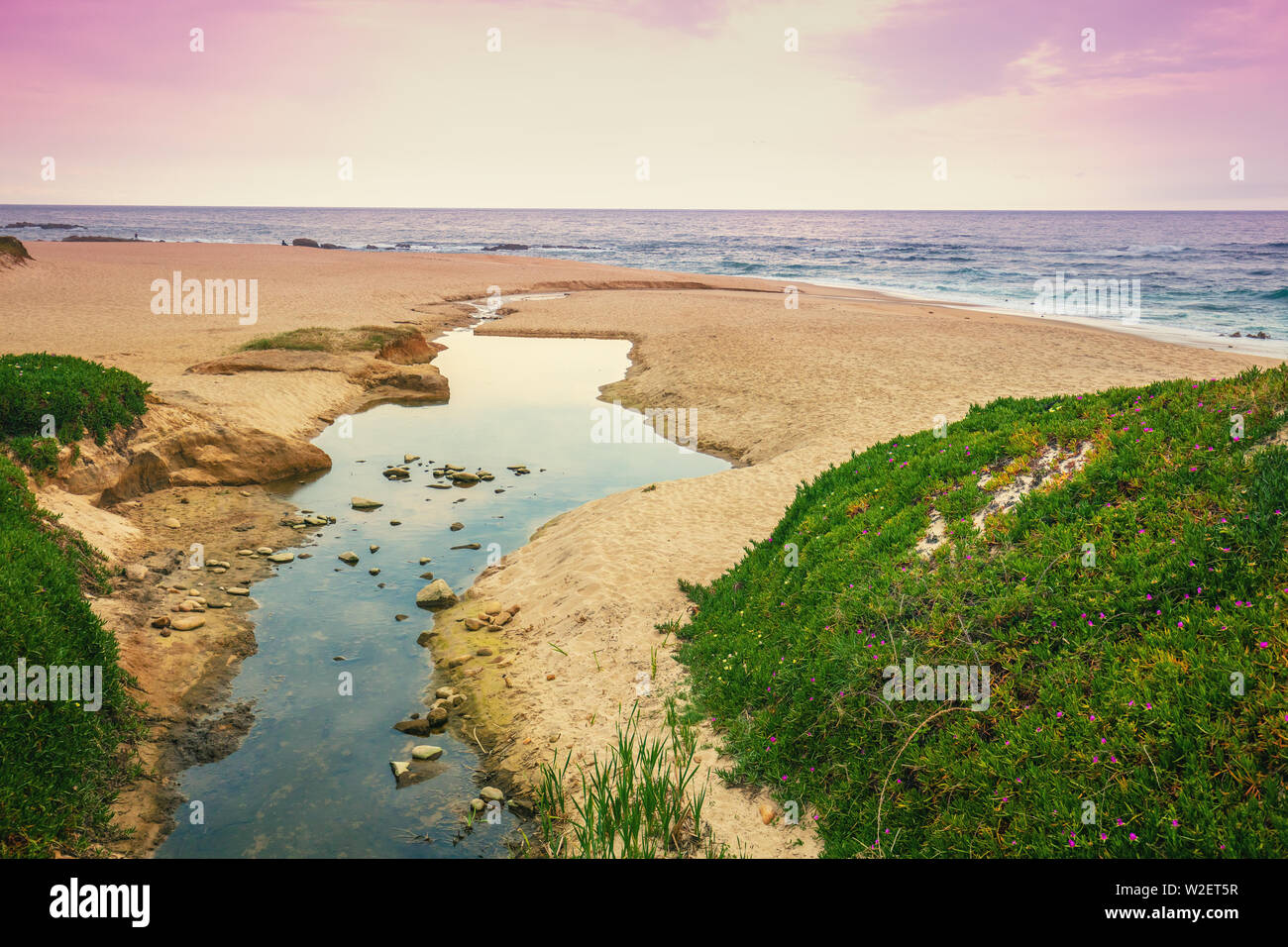 River Delta at daytime. The river flows into the sea Stock Photo - Alamy