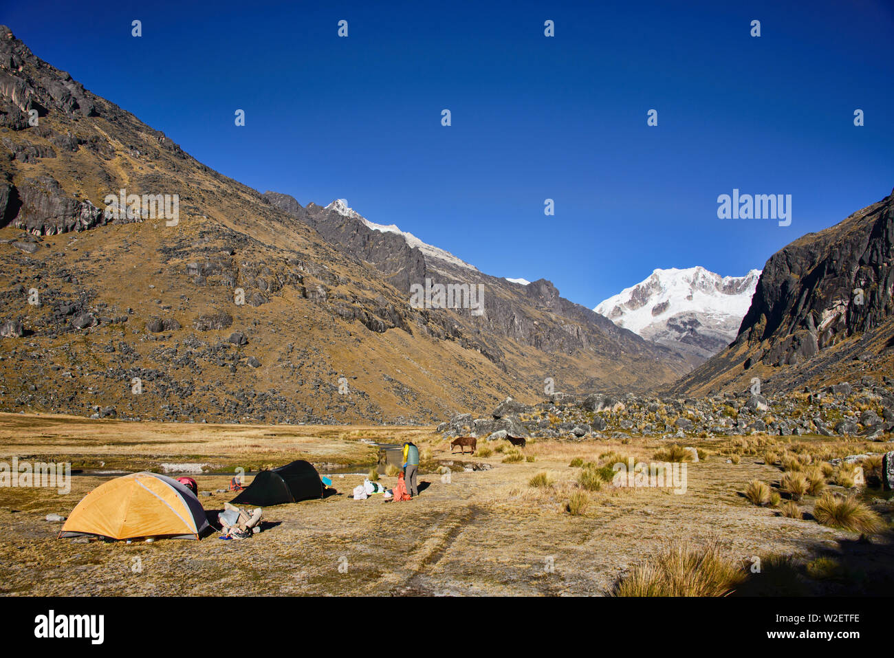 Camp in the high Andes along the Cordillera Real Traverse, Bolivia ...