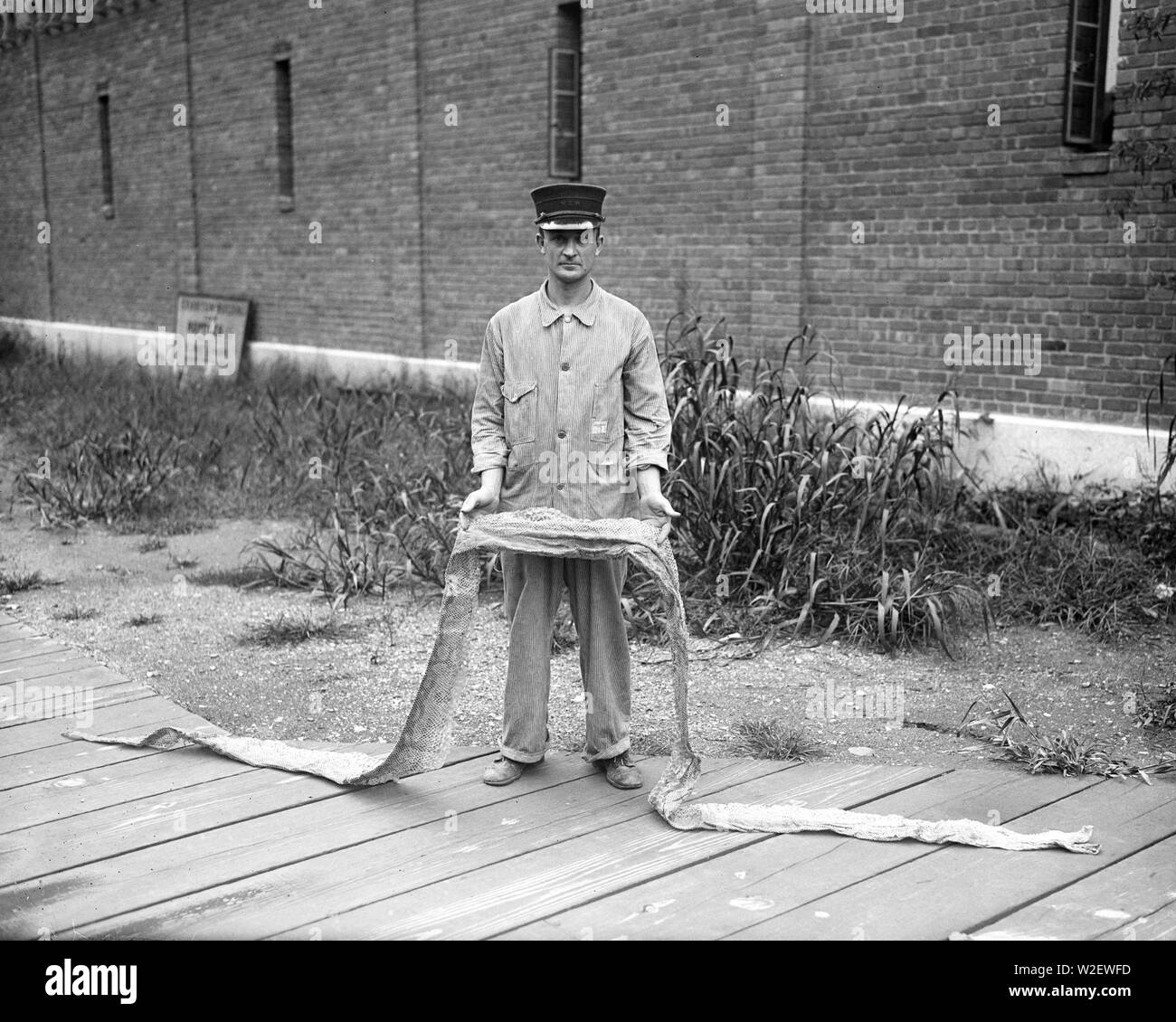 Holding the snake hi-res stock photography and images - Alamy