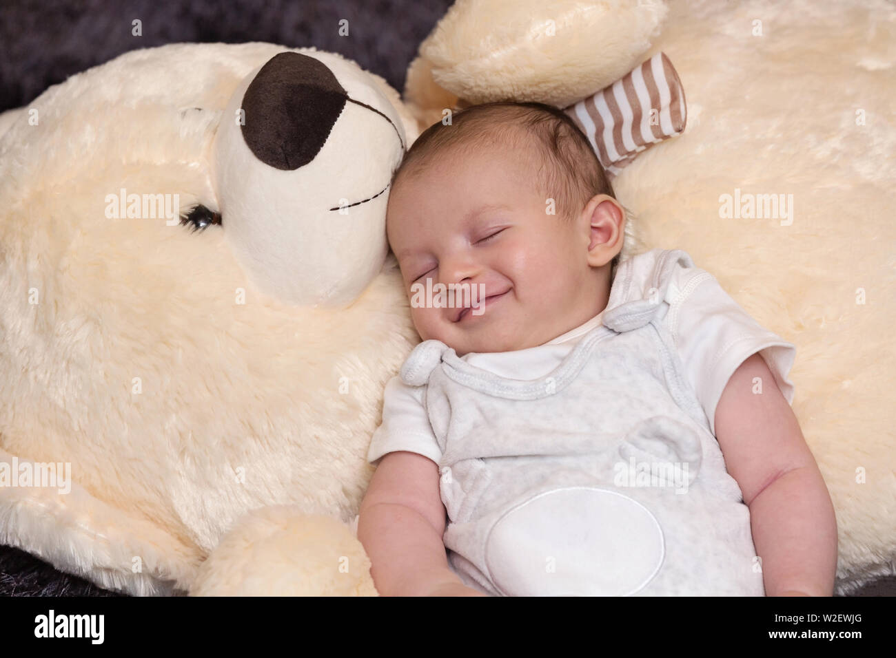 Peaceful newborn sleeping with giant fluffy teddy bear Stock Photo - Alamy