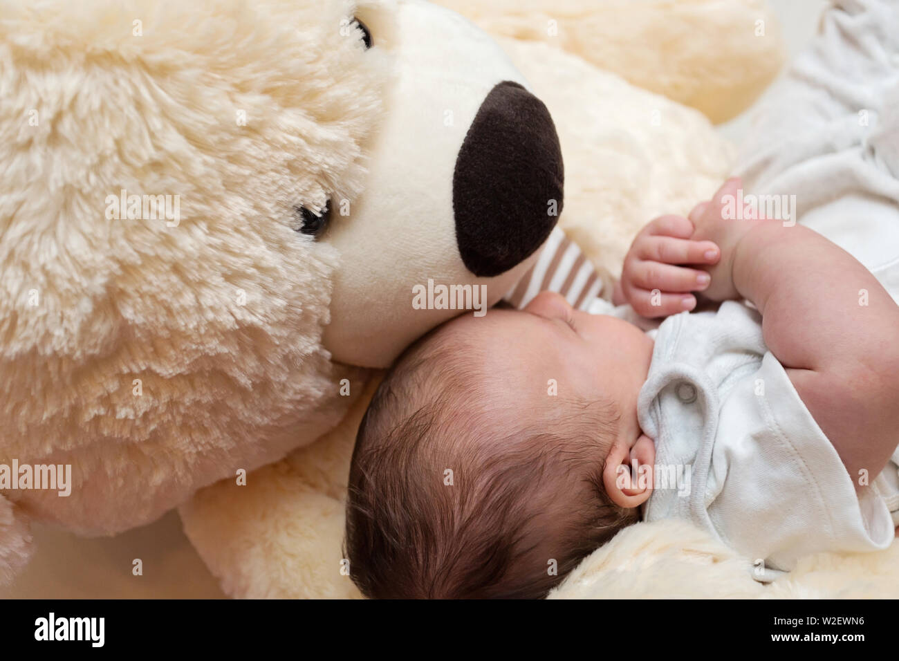 Peaceful newborn sleeping with giant fluffy teddy bear Stock Photo - Alamy