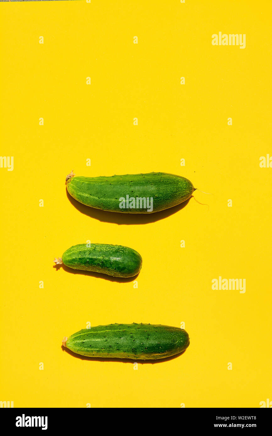 Concept Cucumbers Family on a yellow background. Dad mom baby ...