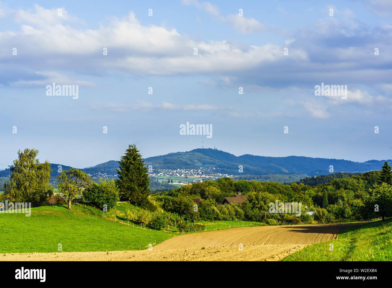 Uetliberg mountain with tv tower near zurich switzerland Stock Photo ...