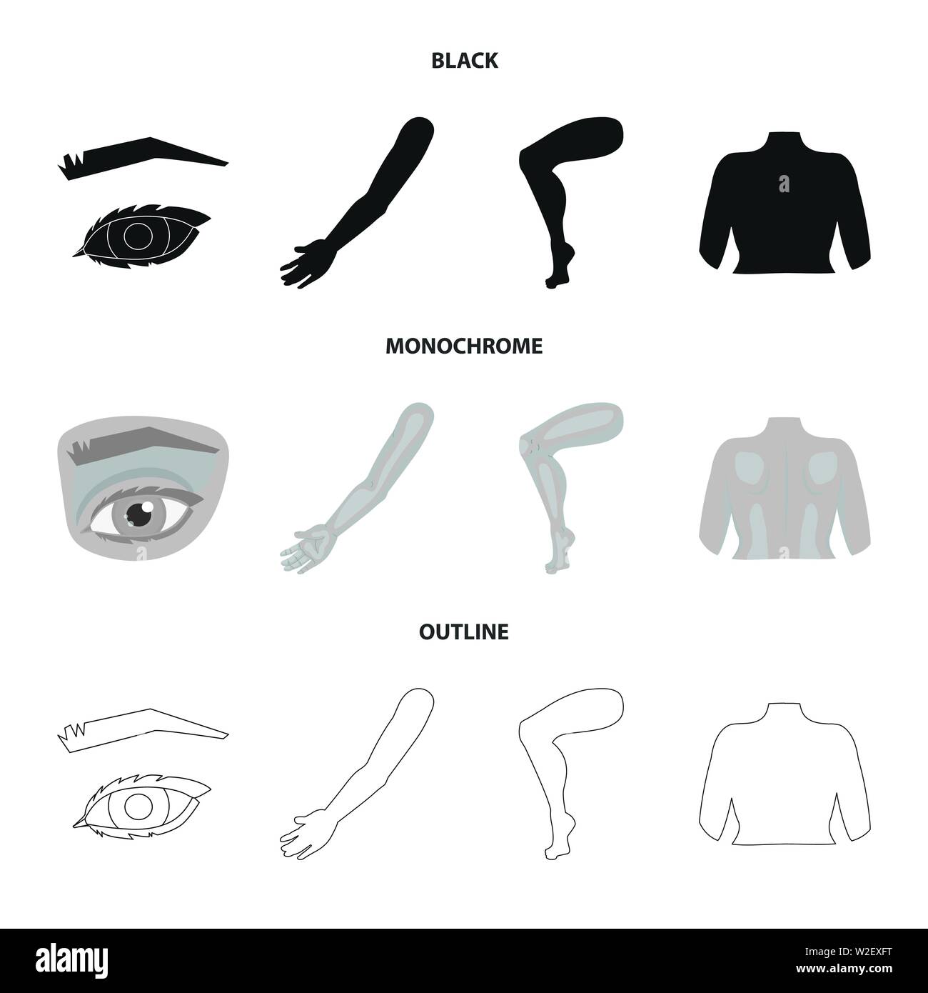 Vector design of body and part icon. Collection of body and anatomy ...