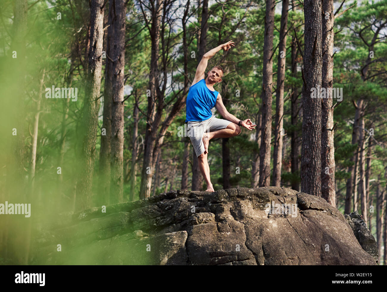 Bending tree hi-res stock photography and images - Alamy