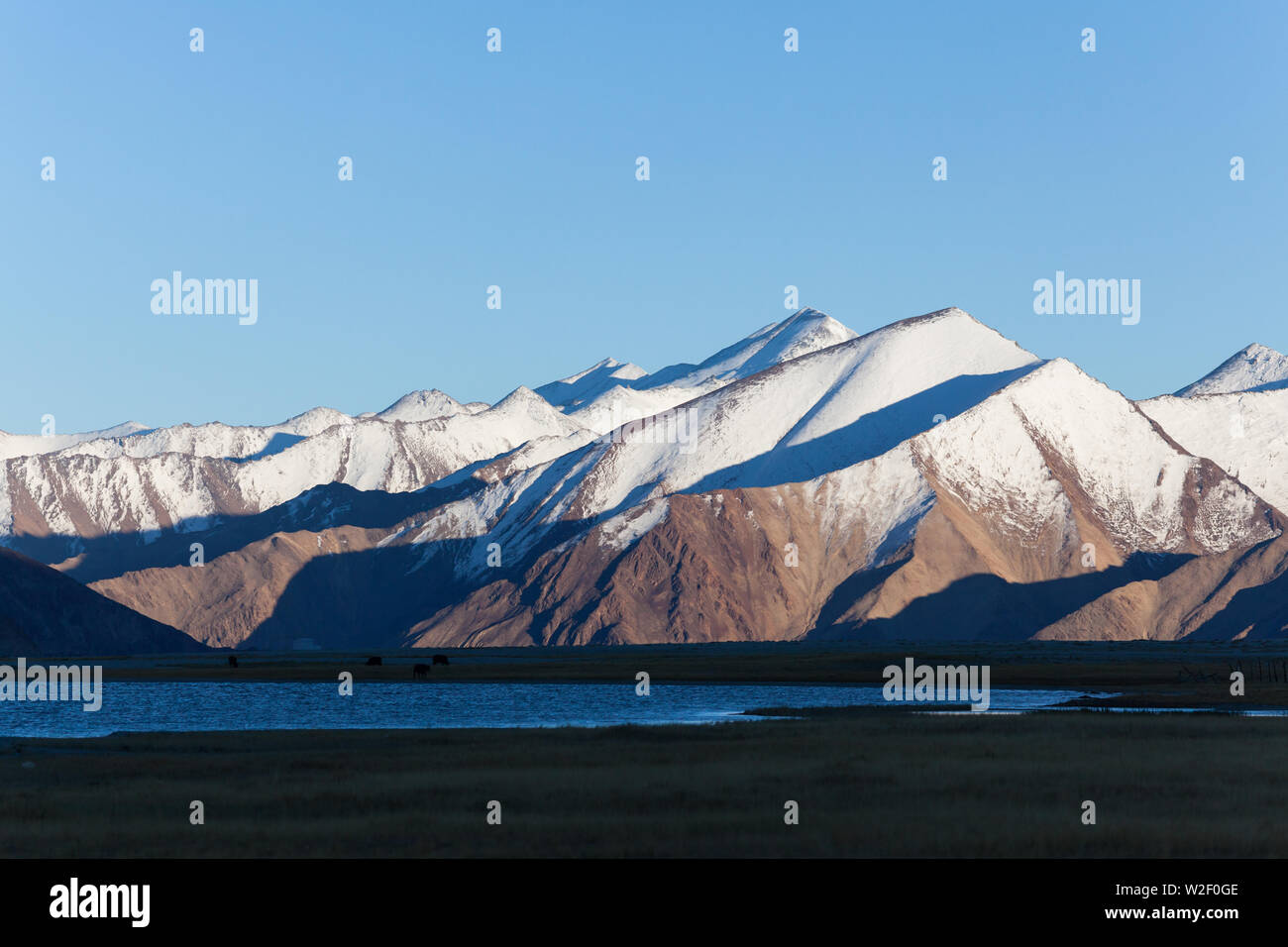 Scenery of Pangong Tso and its surroundings seen from the area of Merak ...