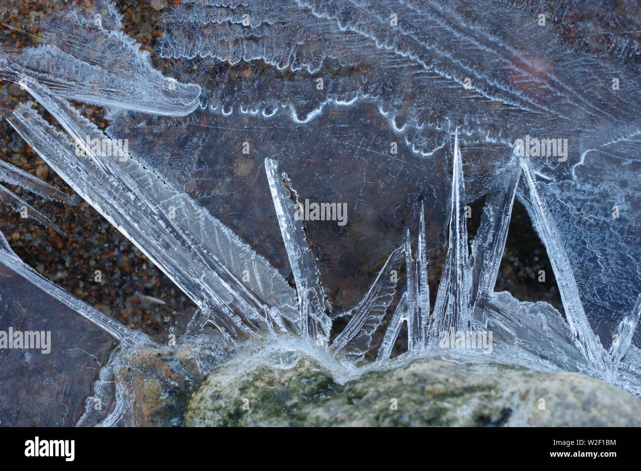Nature Background Close Up of Ice Crystals Puddle around a Rock on the ...