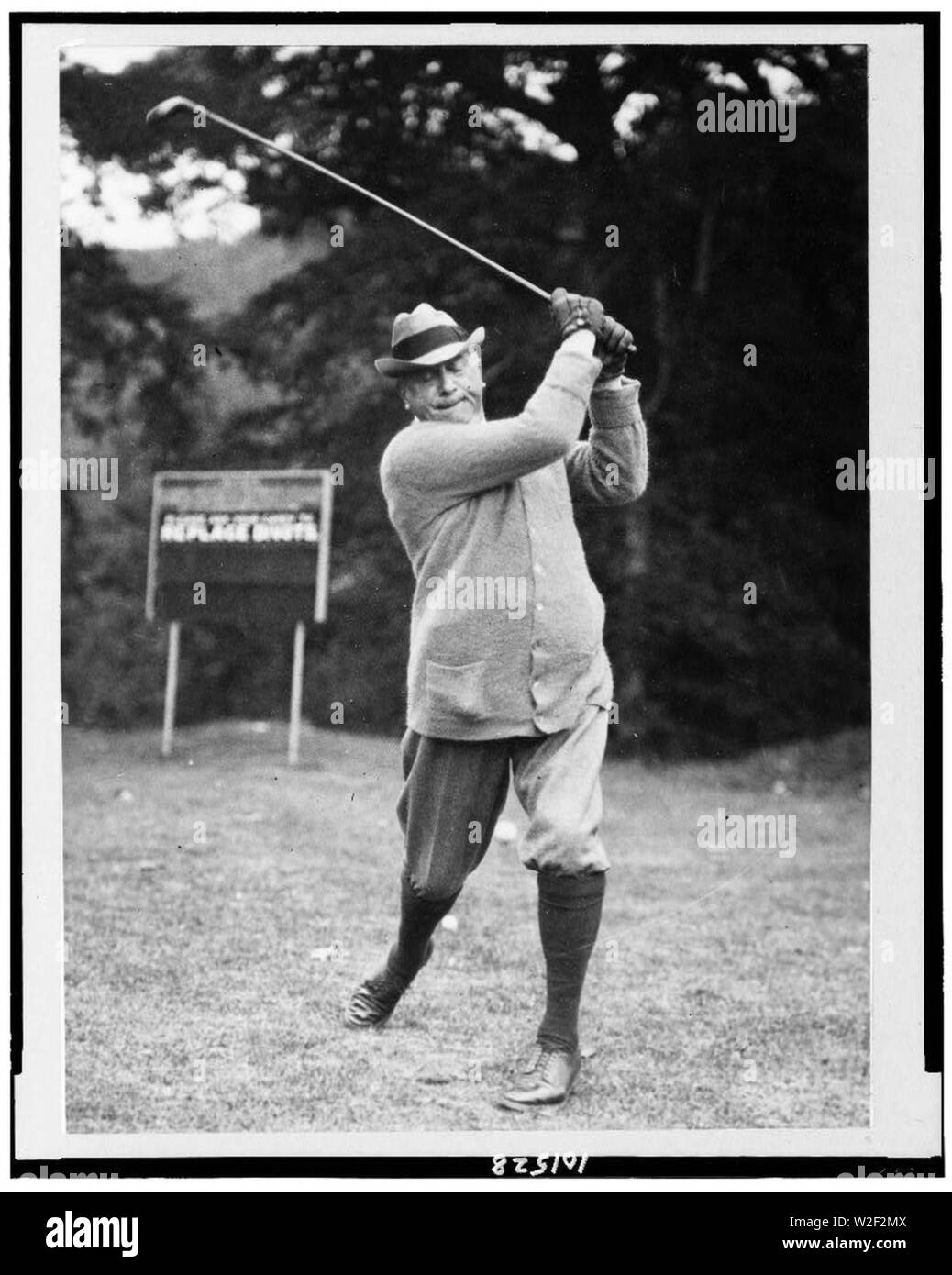 Schwab Cut Out Stock Images & Pictures - Alamy