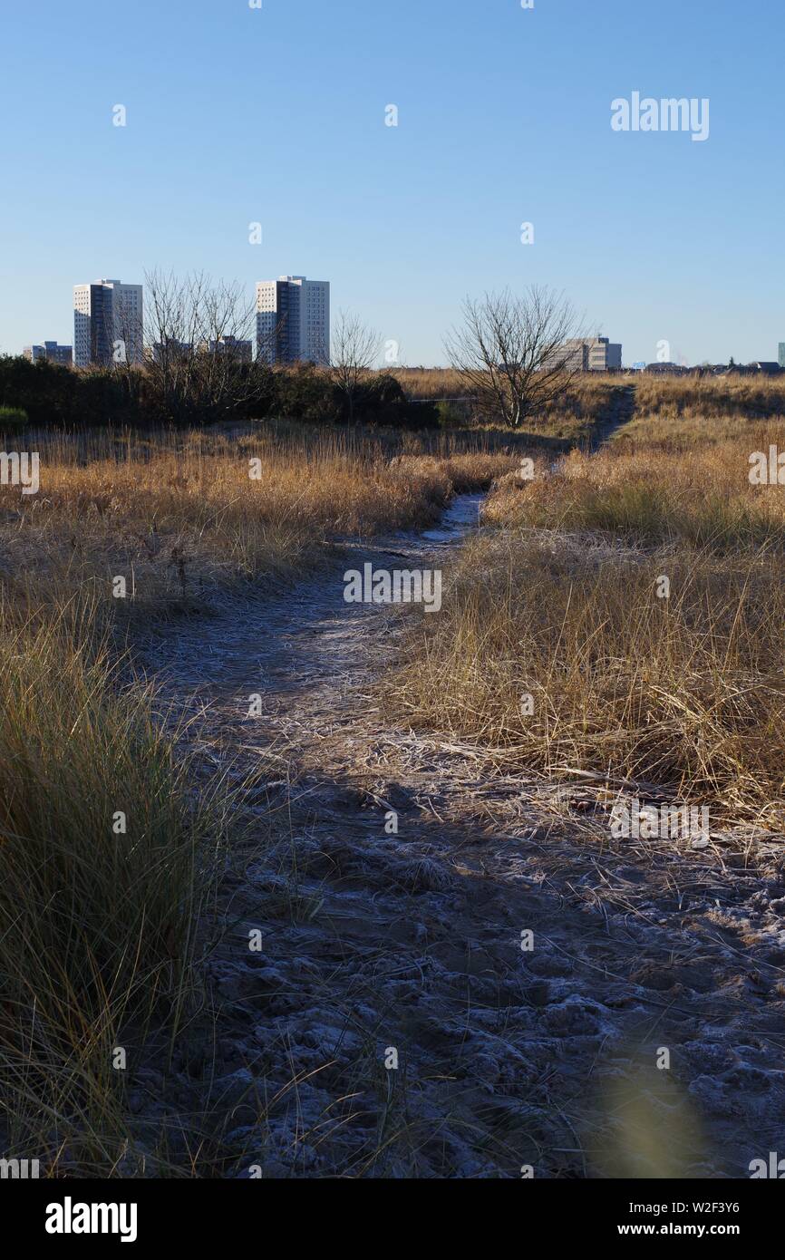 Utilitarian nature hi-res stock photography and images - Alamy