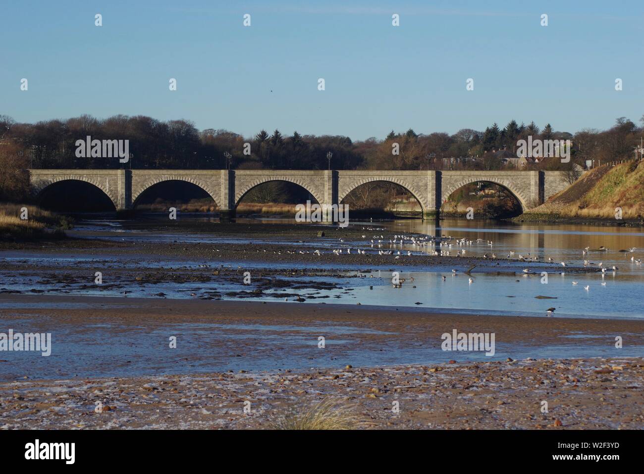 Bridge of Don. 5 Arch Granite Road Bridge 1830, Spanning thr River Don ...