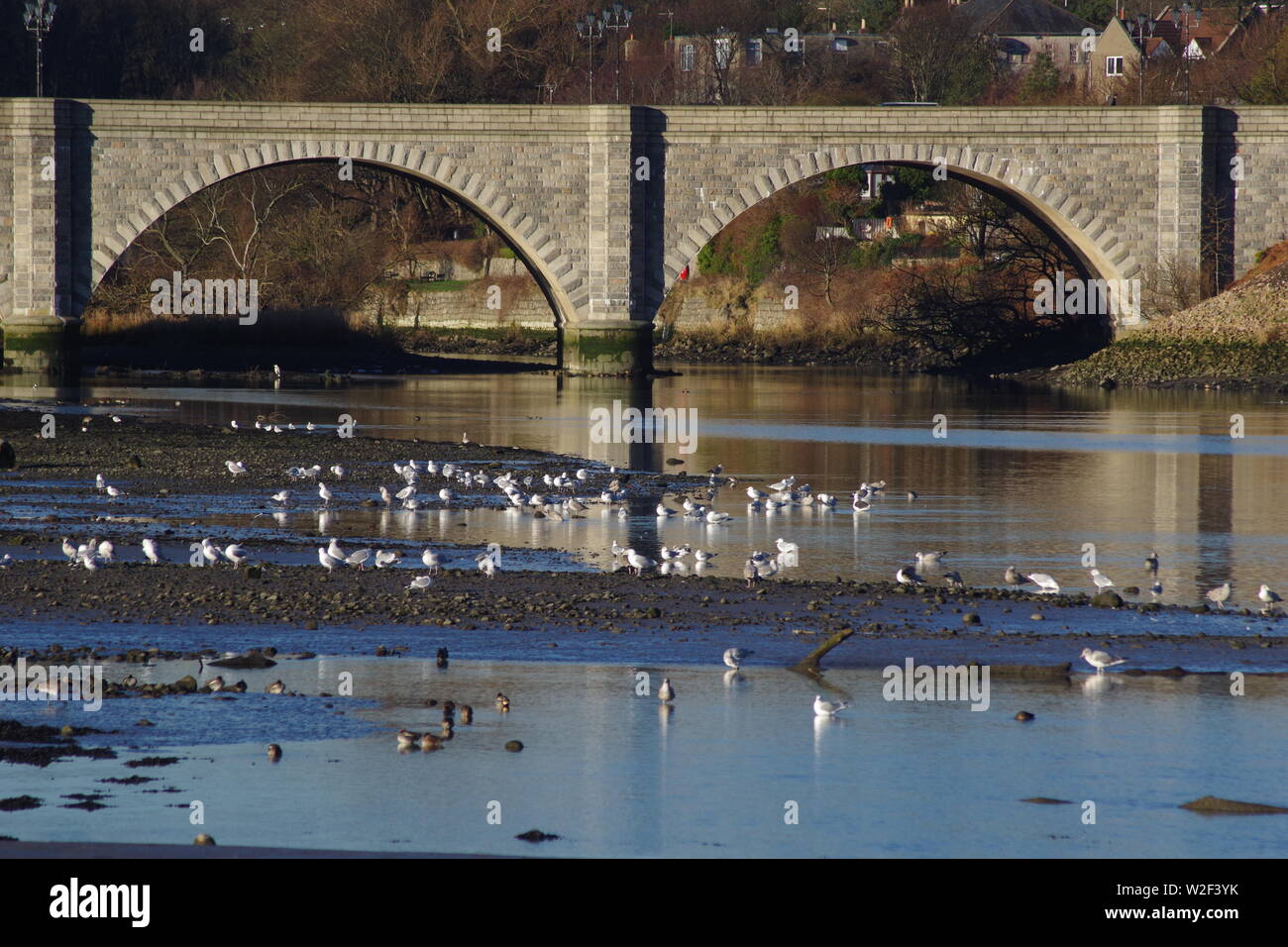 Bridge of Don. 5 Arch Granite Road Bridge 1830, Spanning thr River Don ...