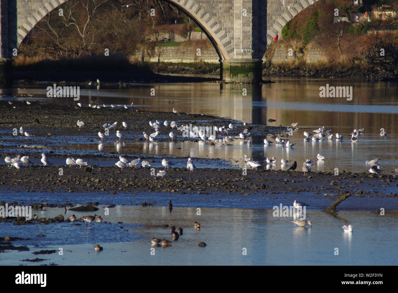 Bridge of Don. 5 Arch Granite Road Bridge 1830, Spanning thr River Don ...