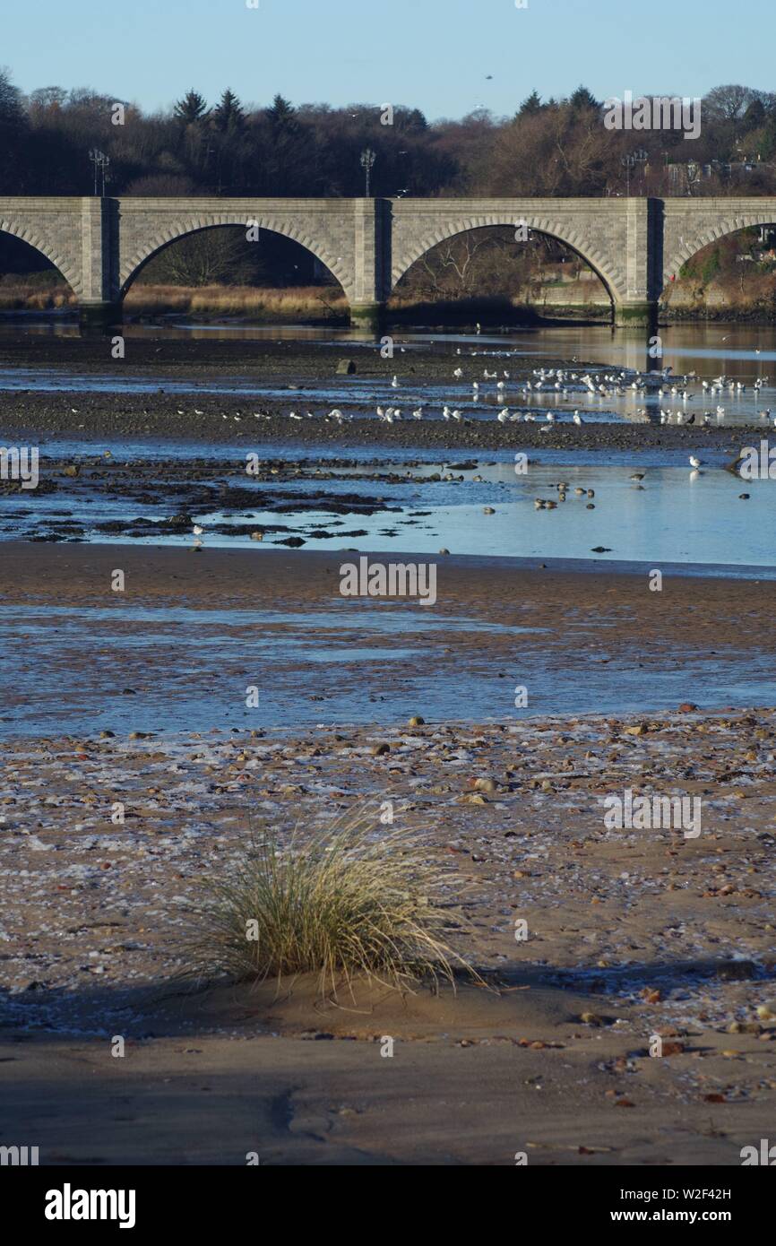 Bridge of Don. 5 Arch Granite Road Bridge 1830, Spanning thr River Don ...