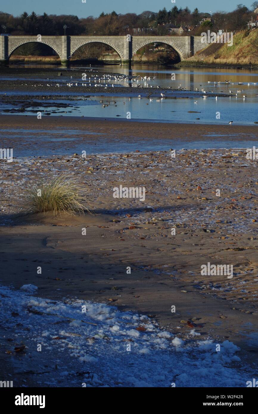 Nature river don scotland hi-res stock photography and images - Alamy