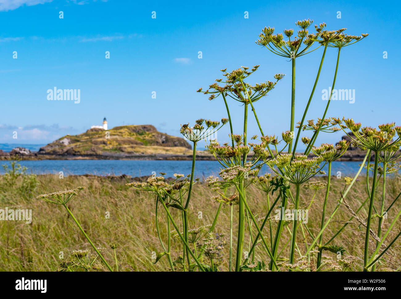 Fidra Island and Stevenson Lighthouse in Forth of Forth on sunny Summer ...