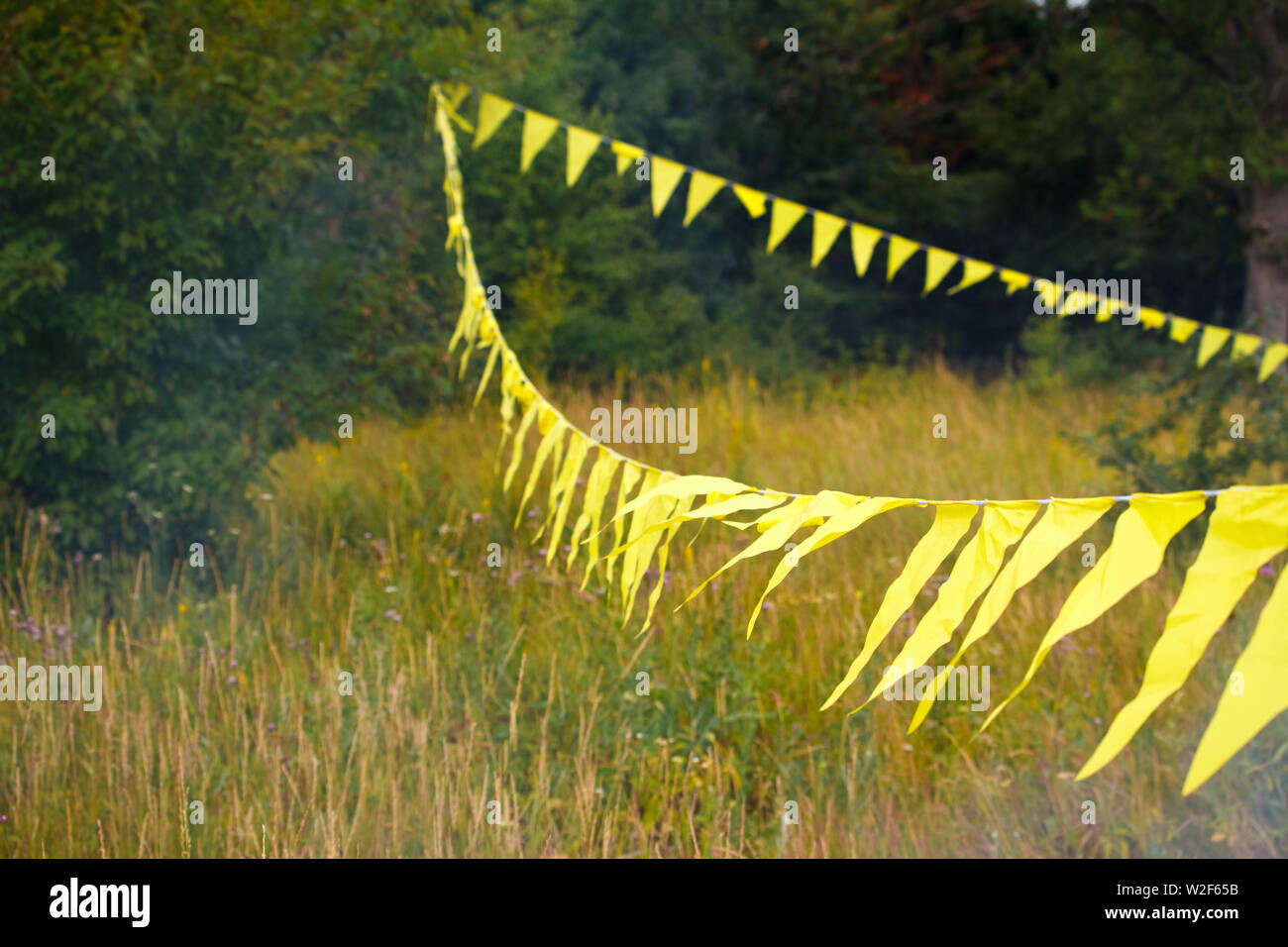 A triangular yellow flags decoration stretched across a grassy meadow ...