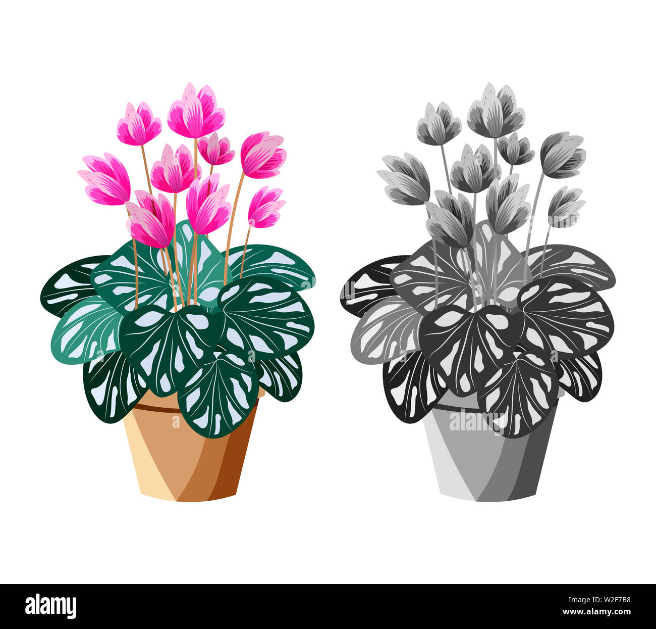realistic detailed house plant for interior design and decoration ...