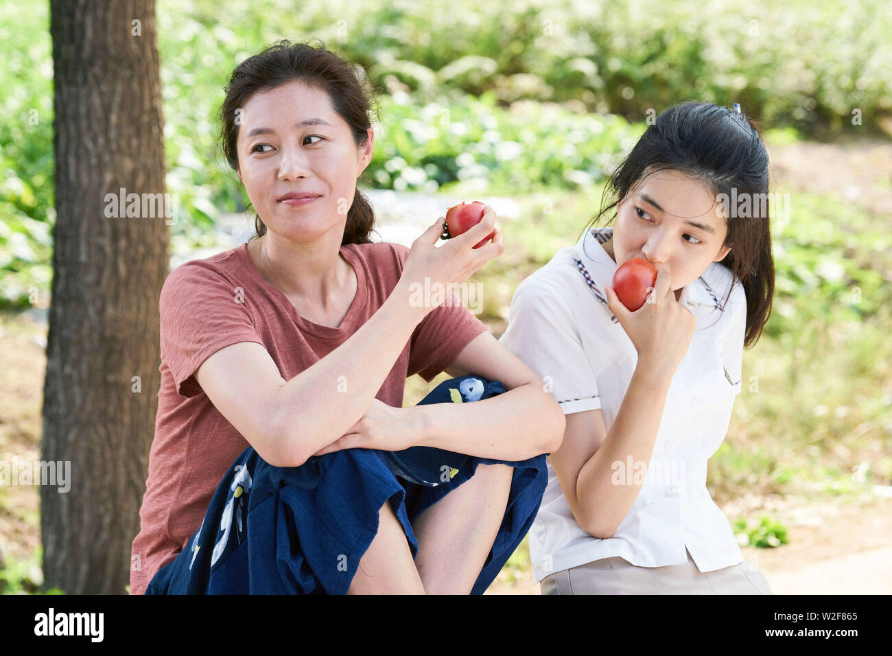 LITTLE FOREST, (aka LITEUL PORESEUTEU), from left: MOON So-Ri, KIM Tae-ri, 2018. © Megabox Plus ...