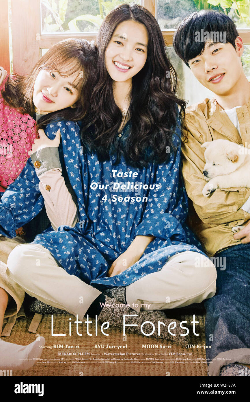 LITTLE FOREST, (aka LITEUL PORESEUTEU), poster, from left: JIN Ki-joo, KIM Tae-ri, RYU Jun-yeol ...
