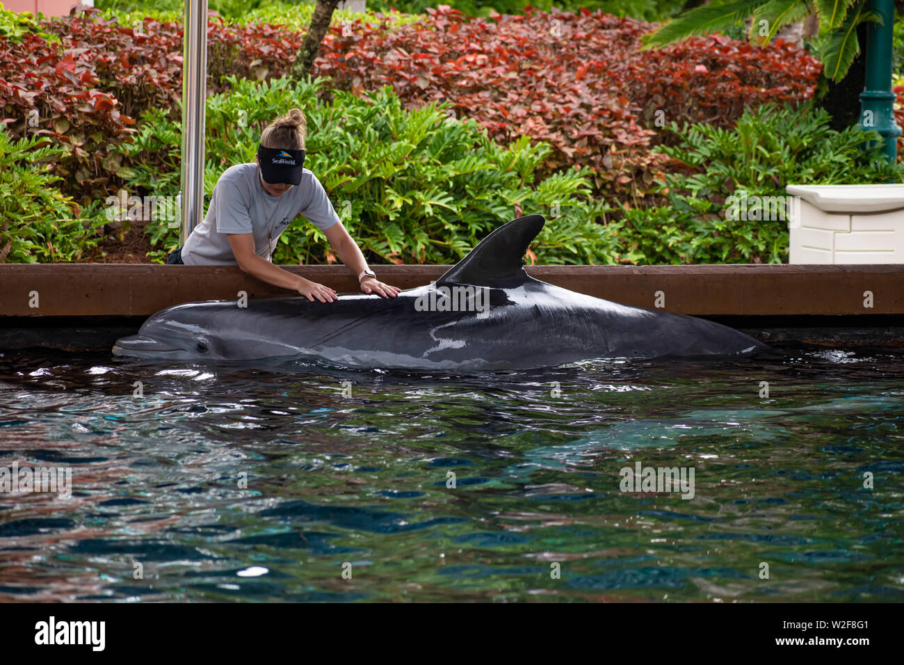 Dolphin amphitheater hi-res stock photography and images - Alamy