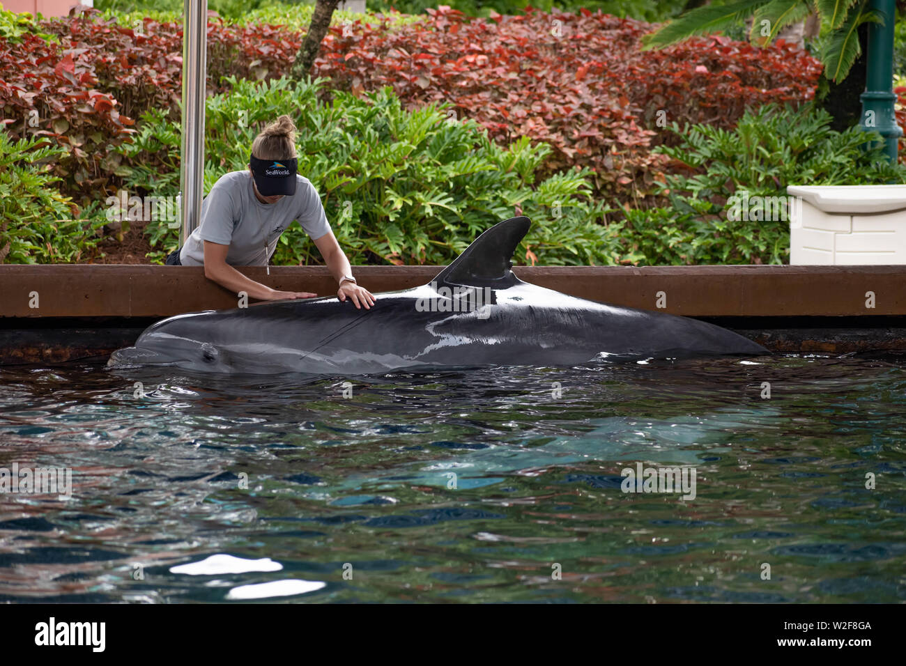 Dolphin amphitheater hi-res stock photography and images - Alamy