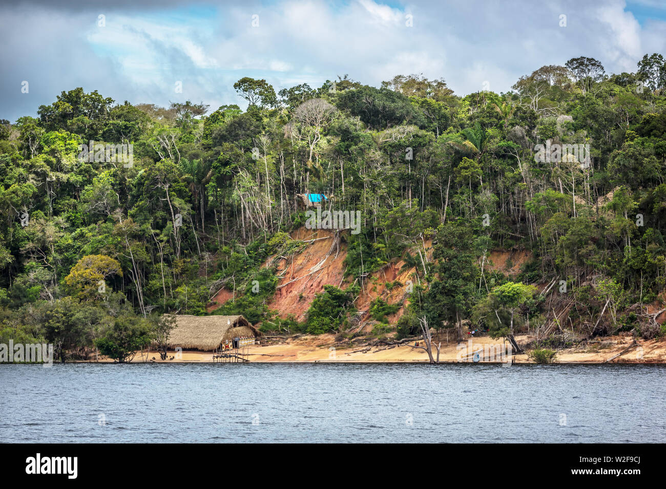A deforestation area in the edge of the Amazon River with a traditional ...