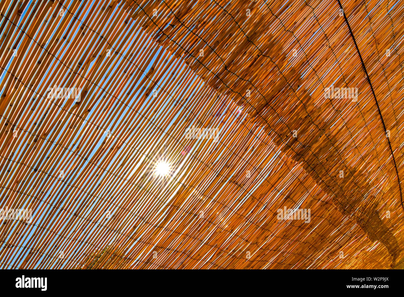 Reed terre hi-res stock photography and images - Alamy