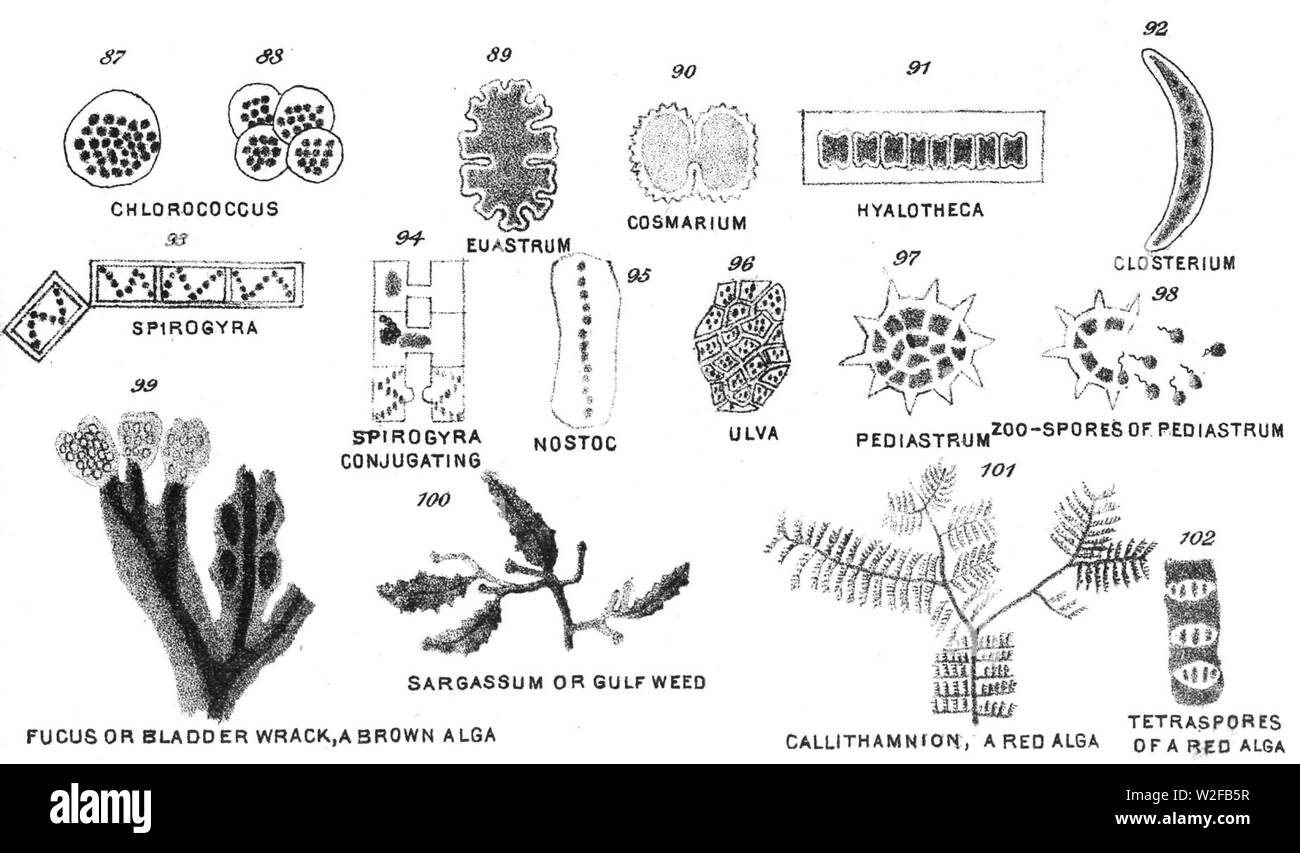 102 87 Black and White Stock Photos & Images - Alamy