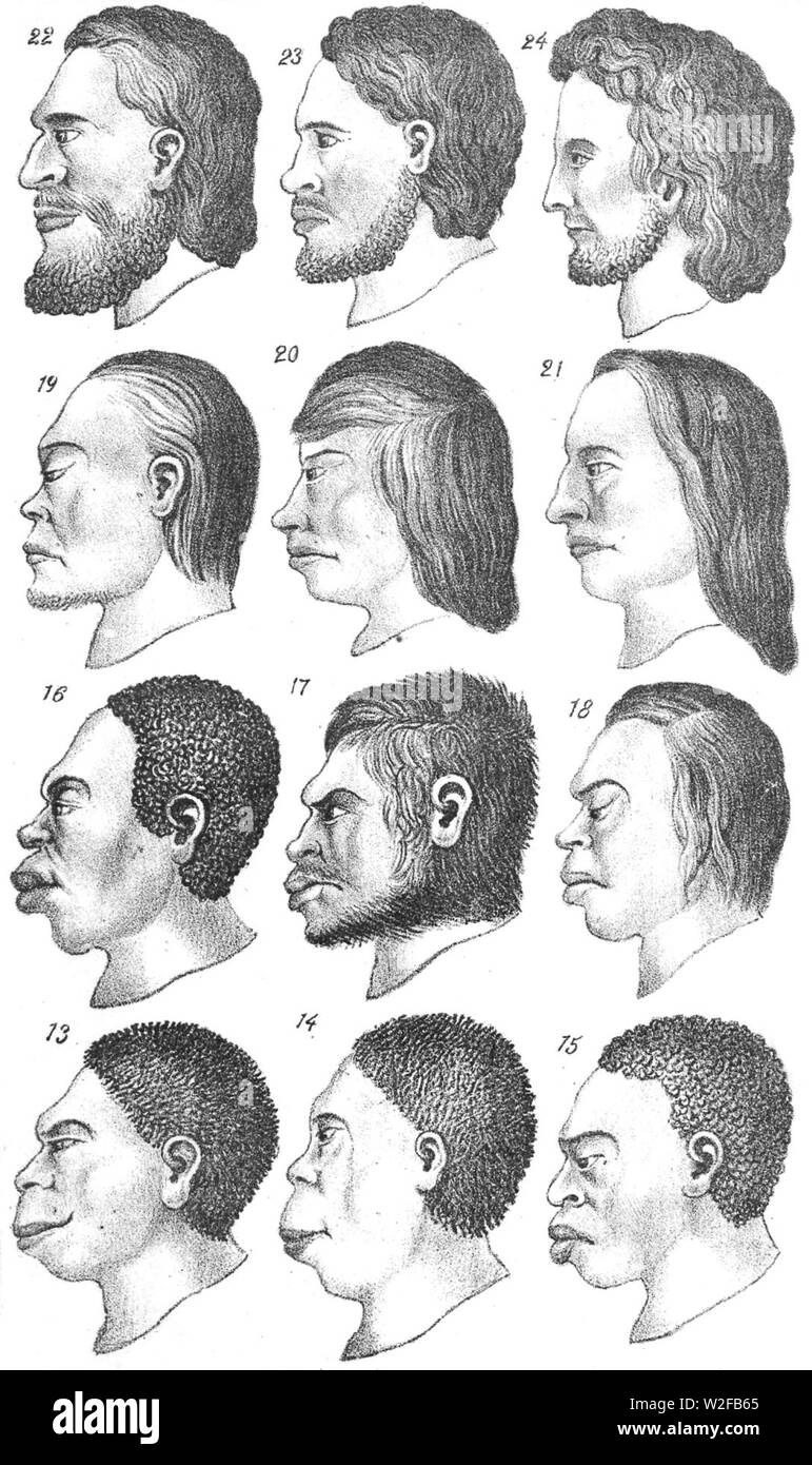 Chapman, Evolution of Life Faces of men Stock Photo - Alamy
