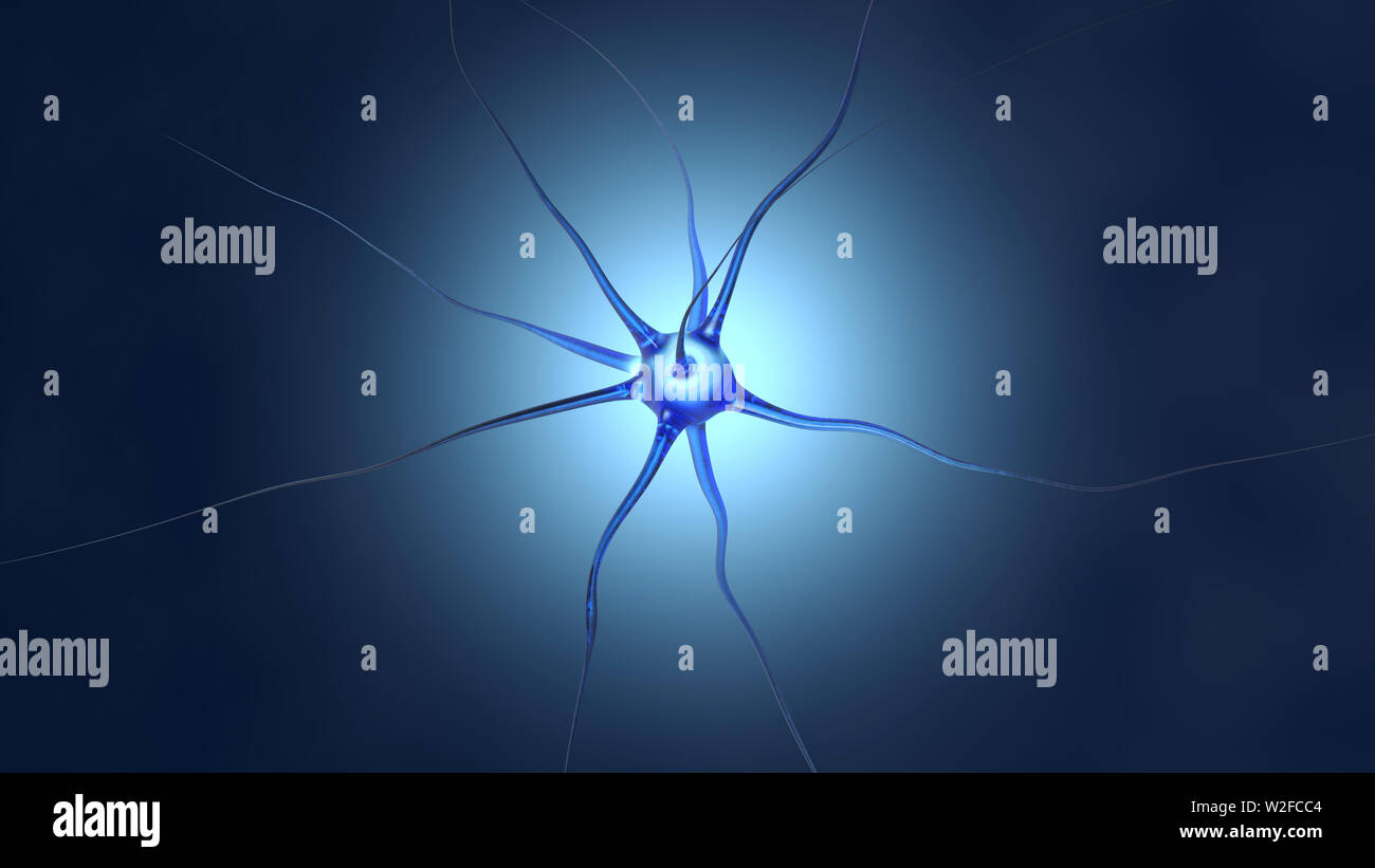 3D Illustration of a neuronal cell in the brain Stock Photo - Alamy