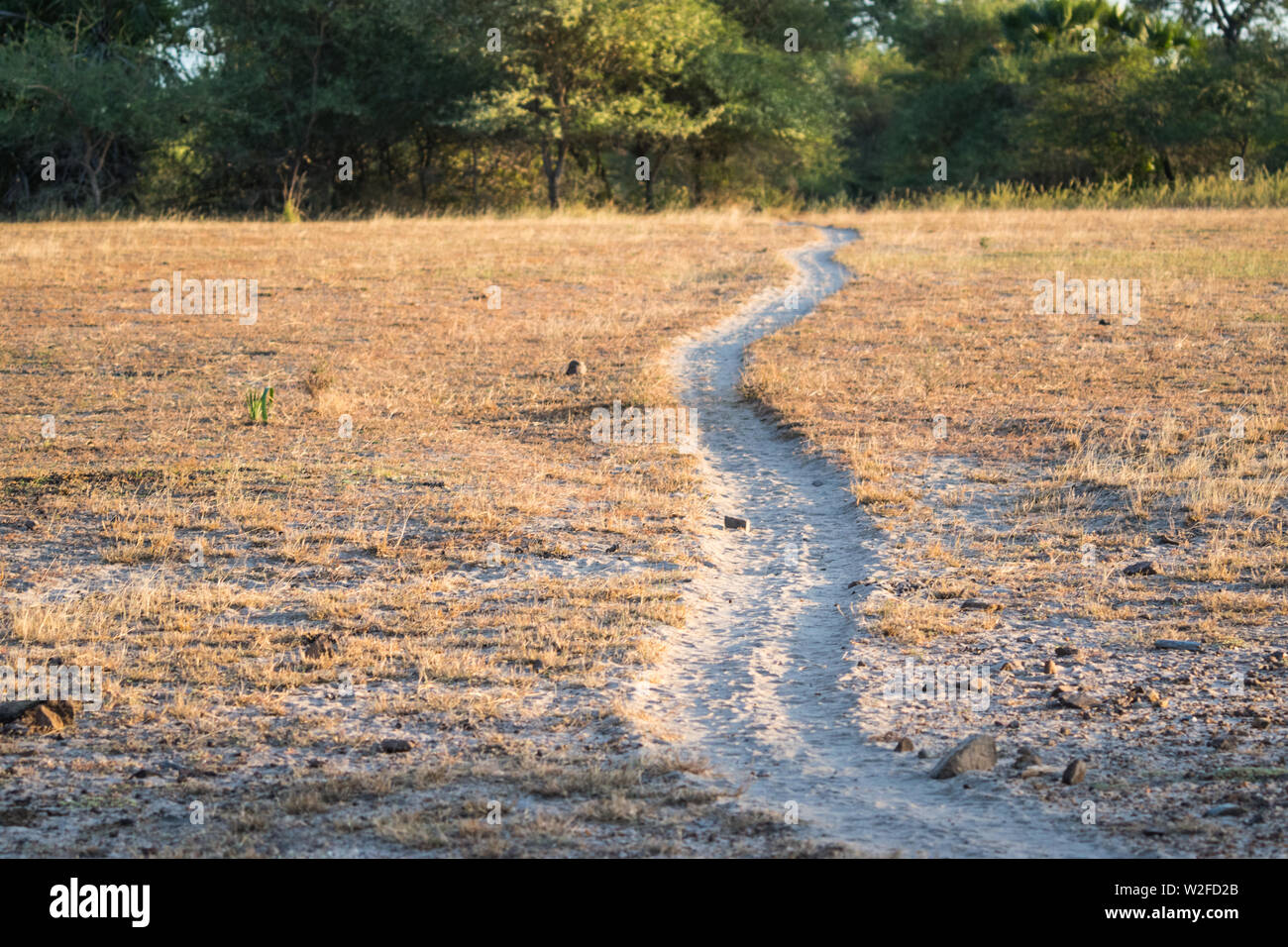 Hippo trail hi-res stock photography and images - Alamy