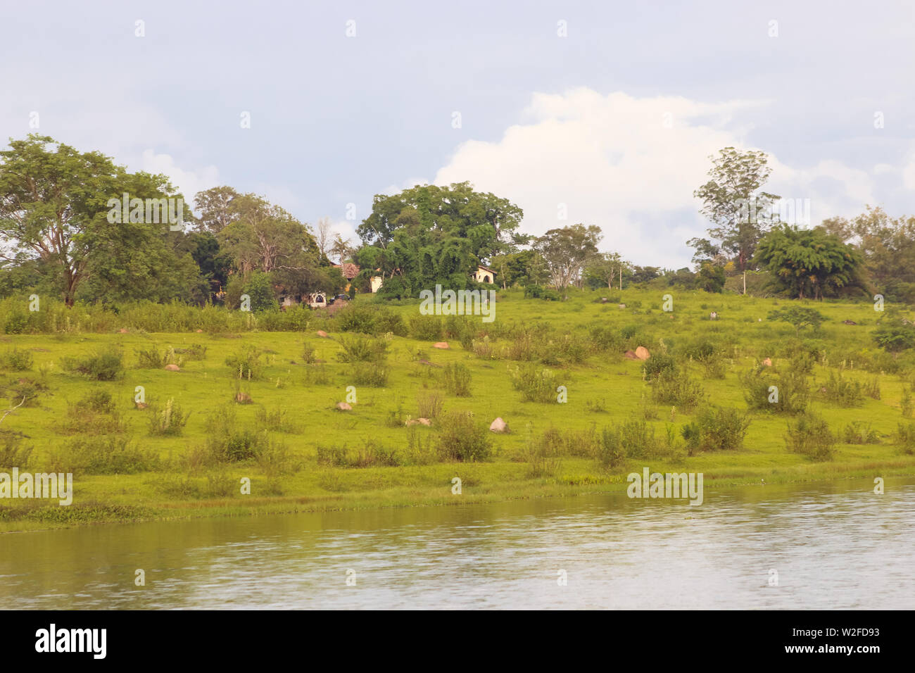 various food dishes, pizza, sphirra, snacks and various Stock Photo - Alamy