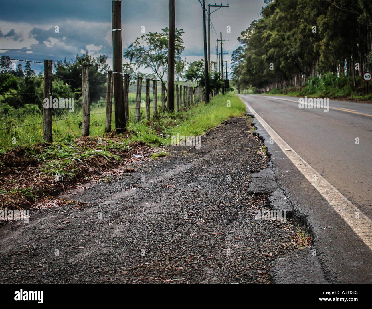 various food dishes, pizza, sphirra, snacks and various Stock Photo - Alamy