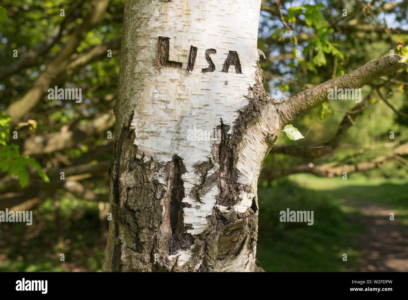 Wimbledon and Putney Commons Stock Photo - Alamy